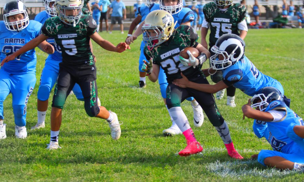 Tucson Youth Football & Spirit Federation Standings | ALLSPORTSTUCSON.com