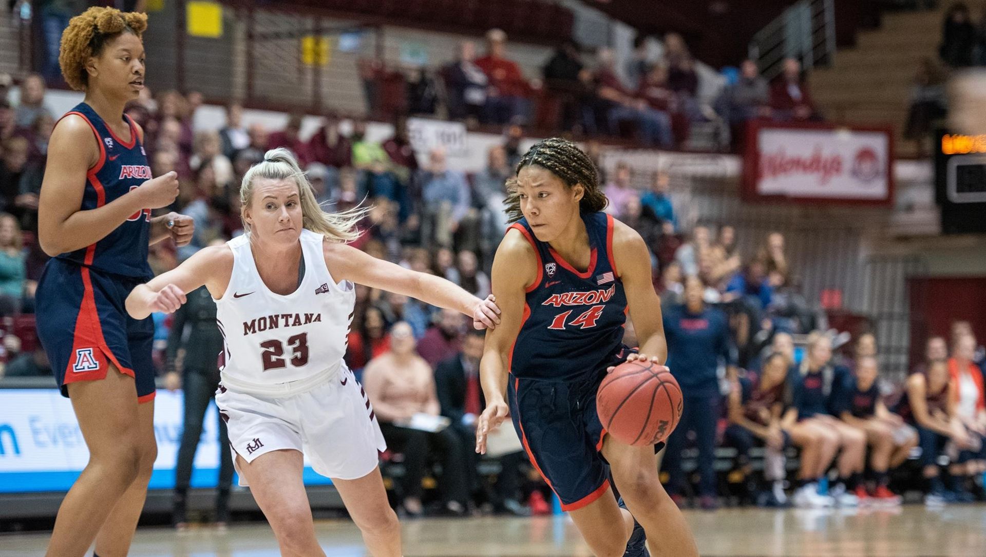 Arizona Wildcats Achieve Best Start in 20 Years | ALLSPORTSTUCSON.com