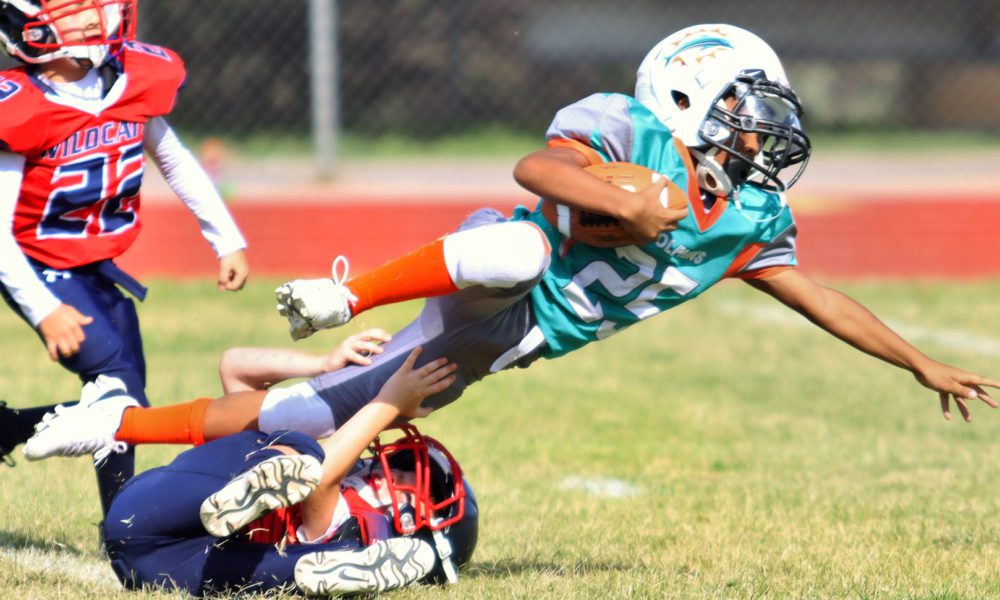 TYFSF Game of the Week: Dolphins over Wildcats in 8U Action ...