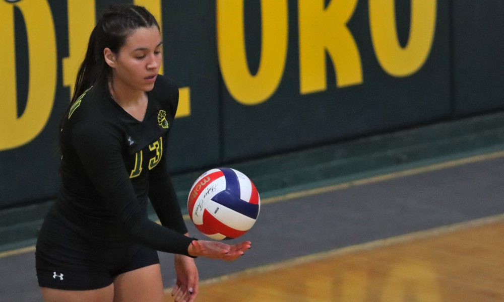 Fall Playoffs: CDO to first state volleyball final since 1980 ...