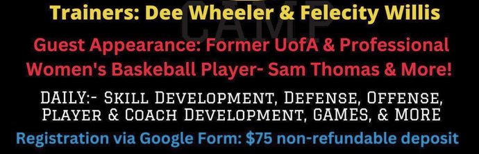 Dee Dee Wheeler & Felecity Willis Basketball Camp with Sam Thomas ...