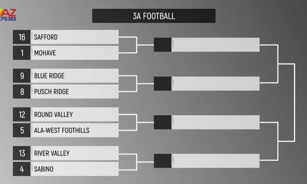 No. 4 Sabino headlines all five 3A South teams in state playoffs ...