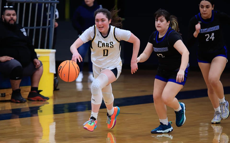 NOTEBOOK: Flowing Wells “hooper” guard Brianna Potter among top ...