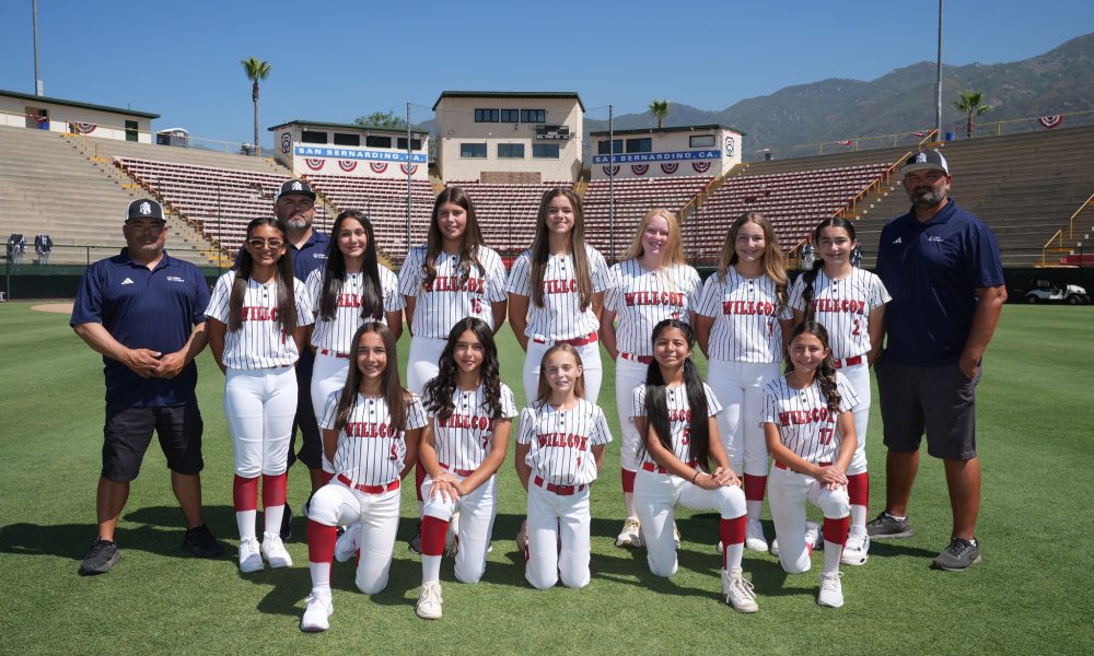 Willcox earns another shutout win behind Macumber in Little League ...