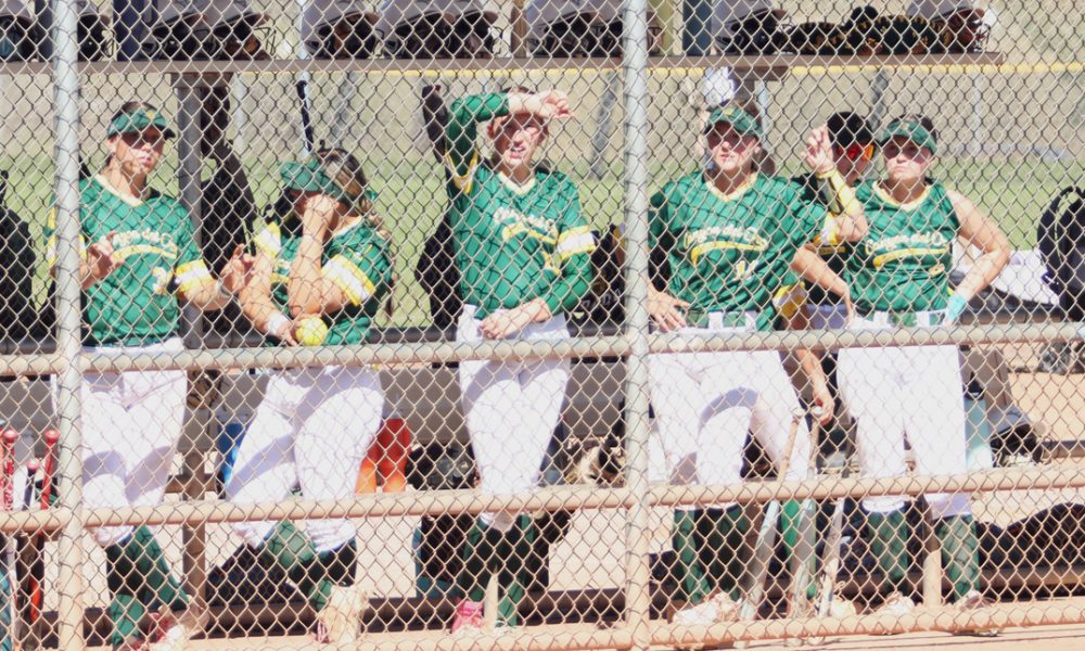 Dorado Softball Classic and Cowboy Up Baseball Invitational updates ...