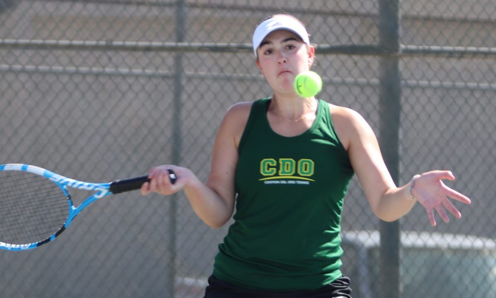 Wednesday Playoffs: Boys Team Tennis and Baseball and Softball Play-In Tournament ...