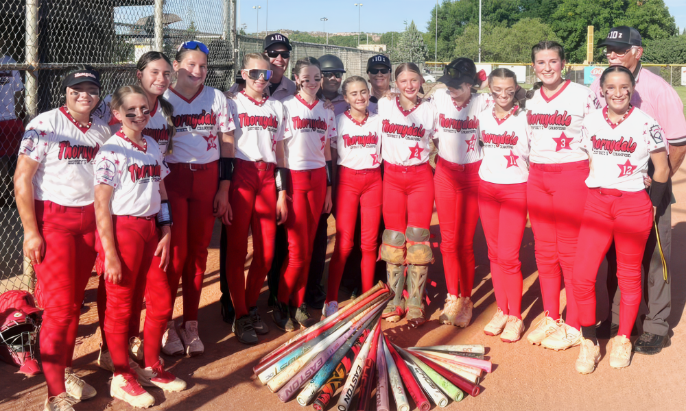 Si Charro! State Little League: Douglas, San Xavier, Sunnyside and ...