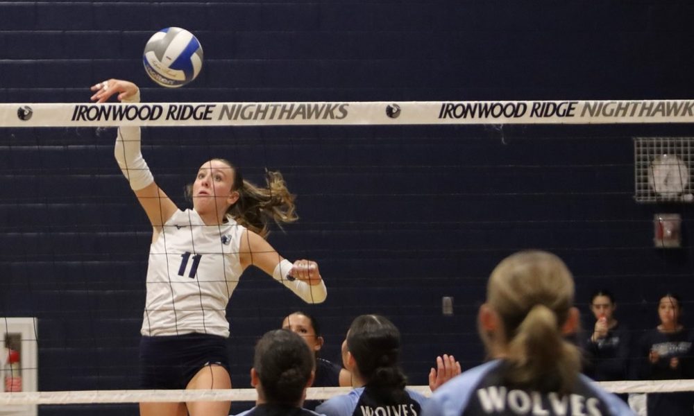 Bernal Fitness & Performance Southern Arizona volleyball stats leaders ...